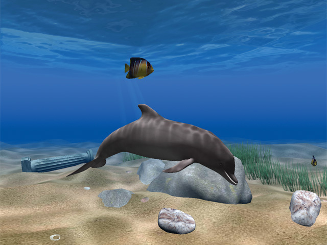 Dolphin Aqua Life 3D Screensaver - Download von heise.de
